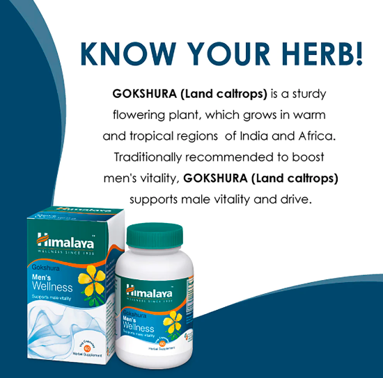 Himalaya Gokshura Men Wellness 60s x 2 - Woods Pharmacy