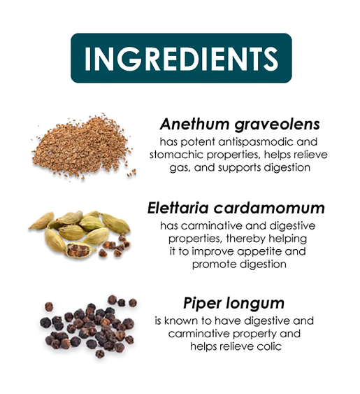 Himalaya Bonnisan Syrup 120ml x 2 - Woods Pharmacy